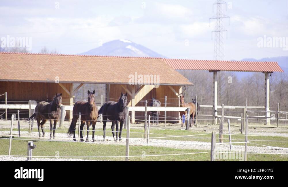 Big four ranch Stock Videos & Footage - HD and 4K Video Clips - Alamy