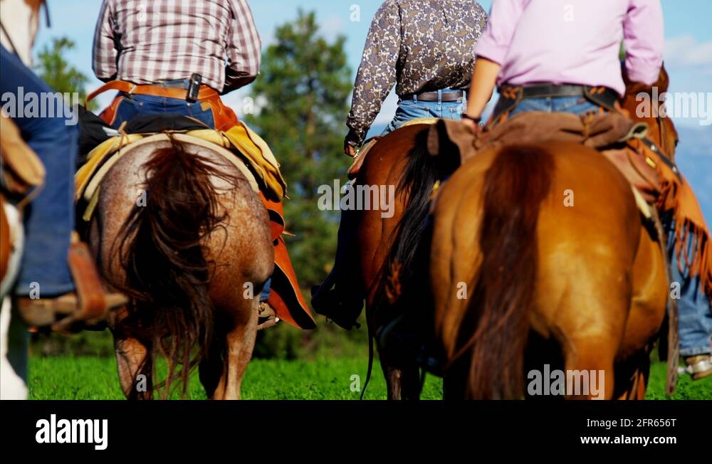 Cowboys and Cowgirls galloping across Kootenay Mountain Range Stock ...
