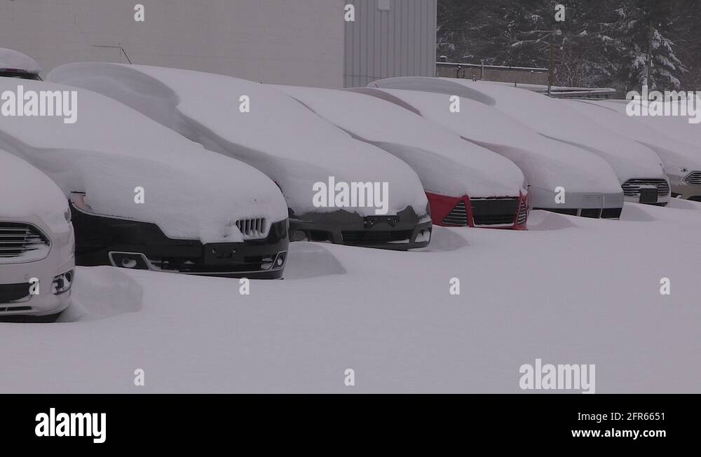 Bracebridge muskoka ontario buried in deep snow after blizzard and ...