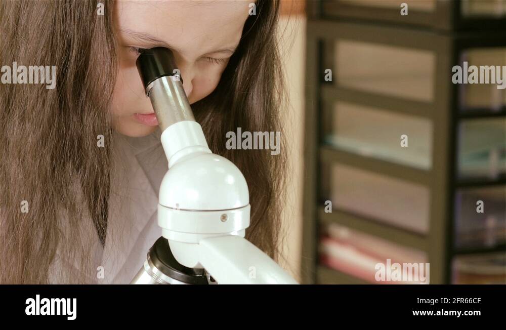 Child researcher classroom Stock Videos & Footage - HD and 4K Video ...