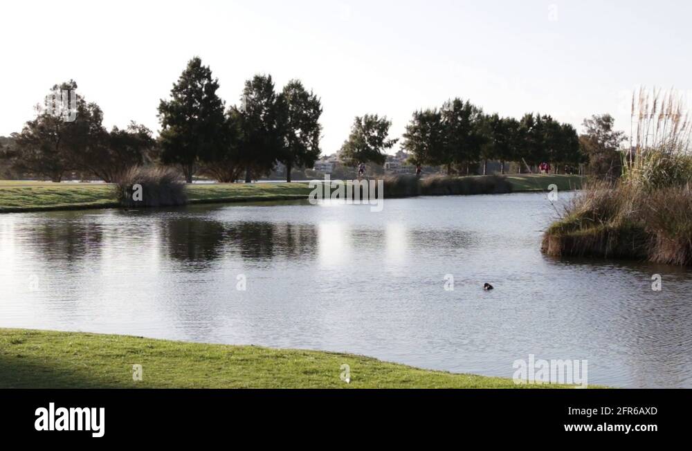 Beautiful perth Stock Videos & Footage - HD and 4K Video Clips - Alamy