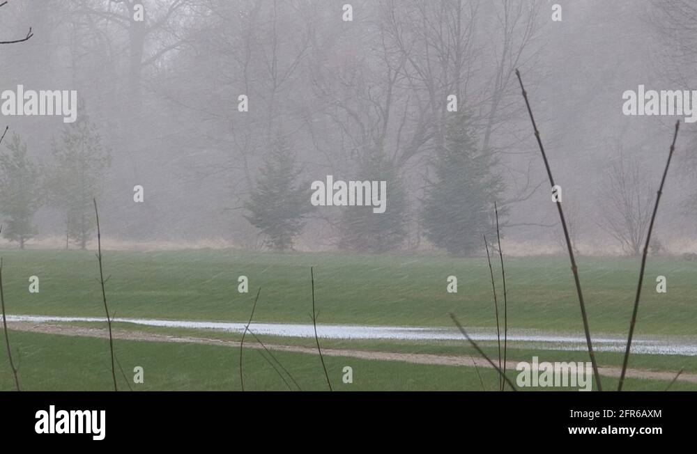 Tree planting canada Stock Videos & Footage - HD and 4K Video Clips - Alamy