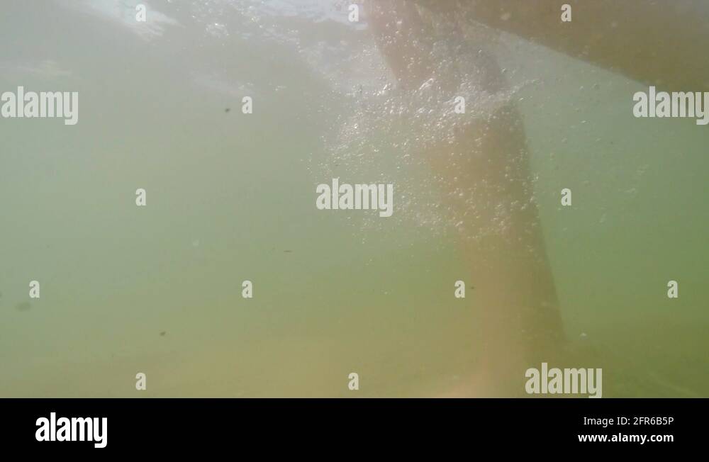 Underwater gopro Stock Videos & Footage - HD and 4K Video Clips - Alamy