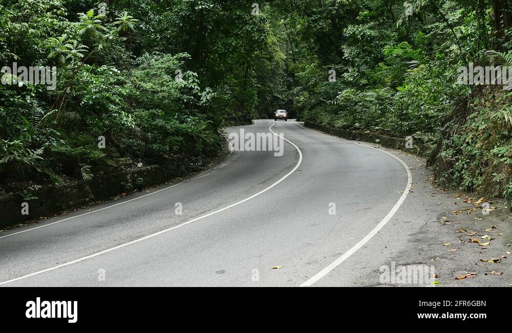 Auto traffic on narrow two-lane in Fern Gully rain forest, Jamaica ...