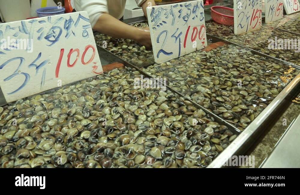 Chinese fish market Stock Videos & Footage - HD and 4K Video Clips - Alamy