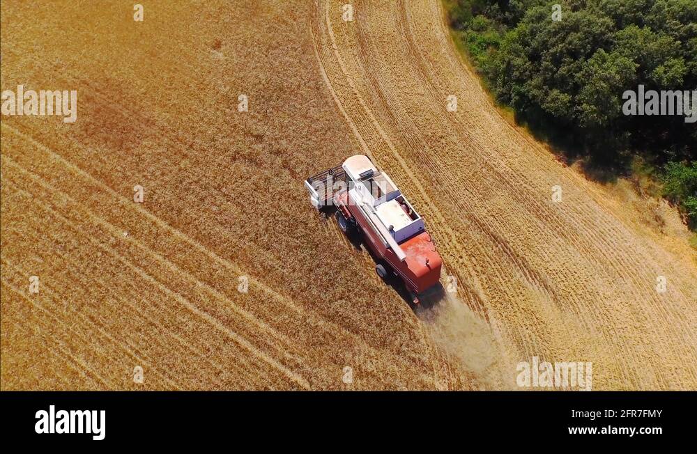 Farmer cutting crop Stock Videos & Footage - HD and 4K Video Clips - Alamy