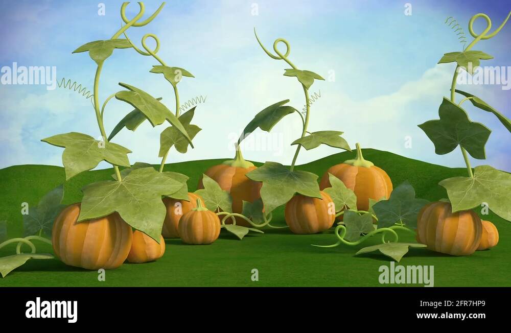 Kids TV Studio Set 02 - Virtual Green Screen Background Loop Stock ...