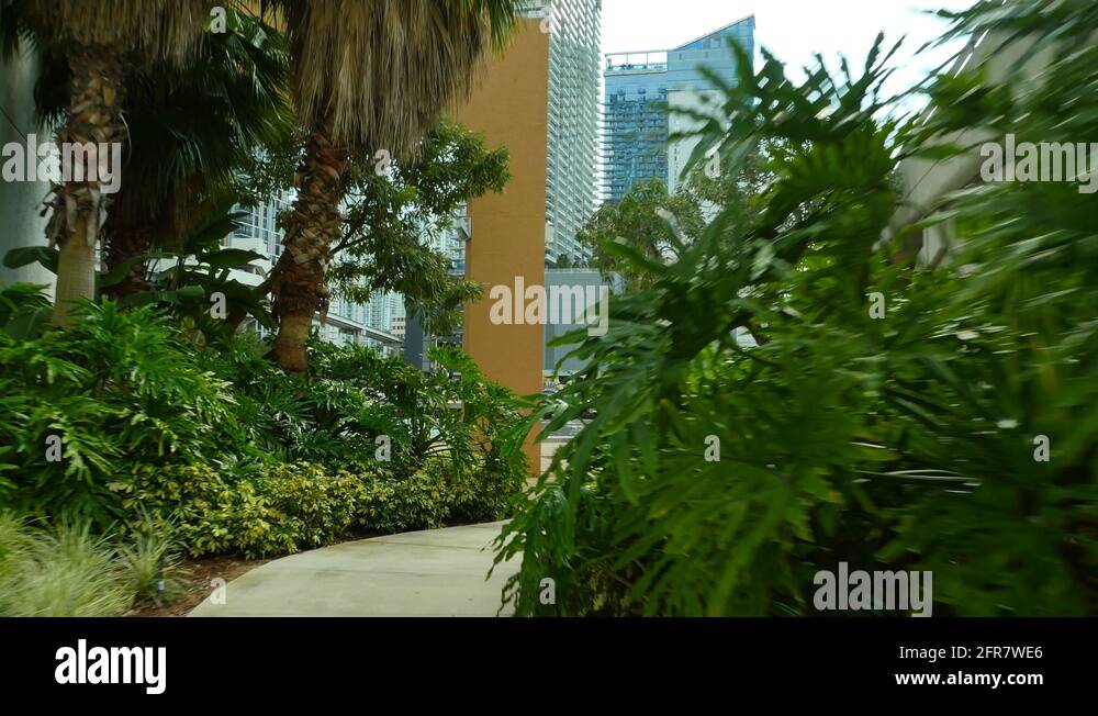 Miami walk of Stock Videos & Footage - HD and 4K Video Clips - Alamy