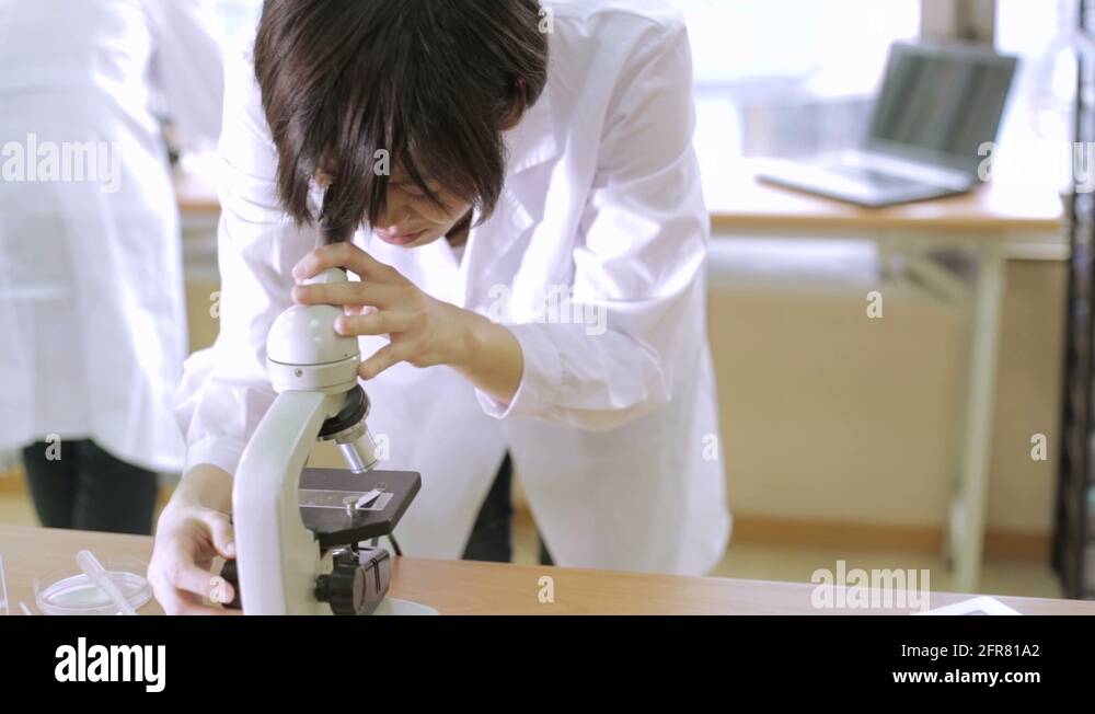 Female tech microscope Stock Videos & Footage - HD and 4K Video Clips ...