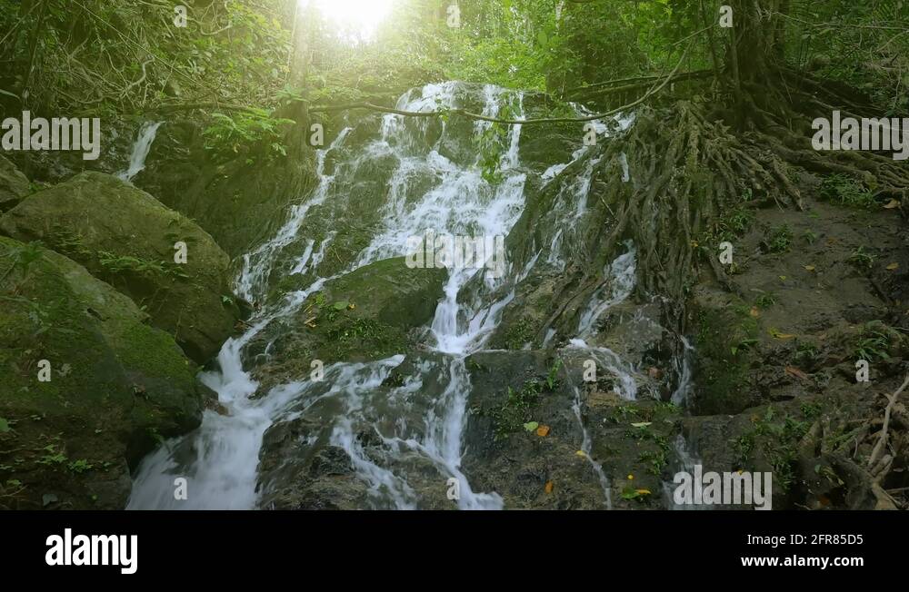 Green nature background of water flows in evergreen rainforest of ...