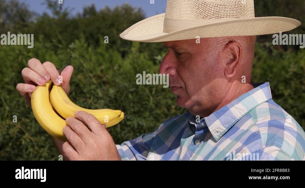 Banana picker Stock Videos & Footage - HD and 4K Video Clips - Alamy