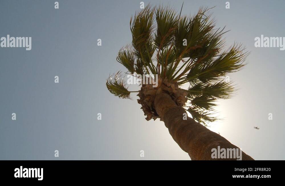 Sun shing Stock Videos & Footage - HD and 4K Video Clips - Alamy