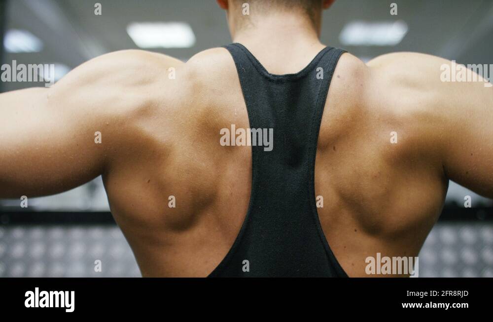 Muscular back of a body builder as he trains, in slow motion Stock ...