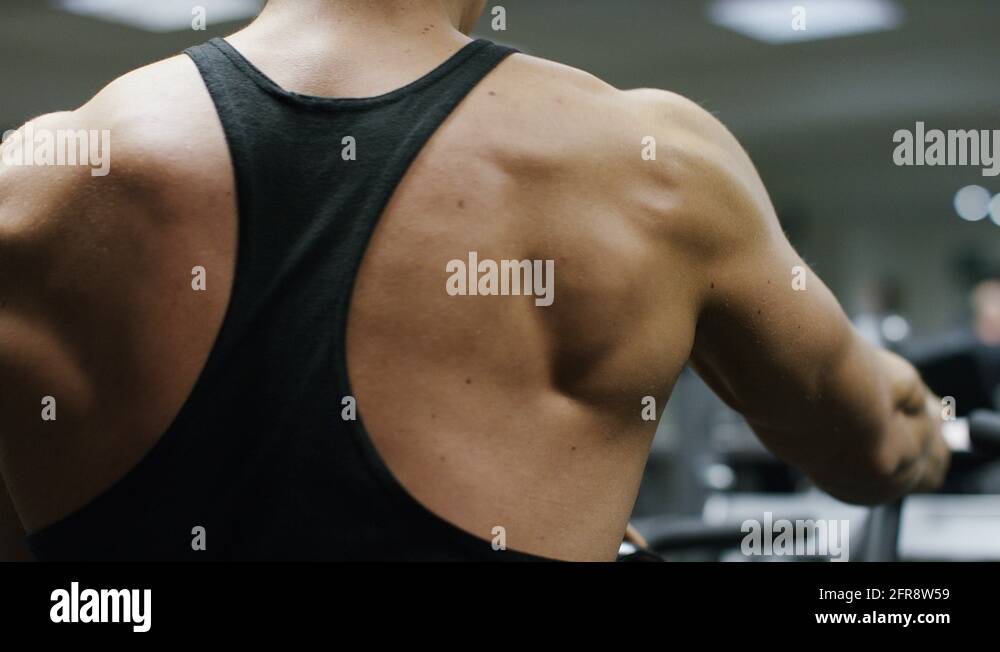 Back muscular man in Stock Videos & Footage - HD and 4K Video Clips - Alamy