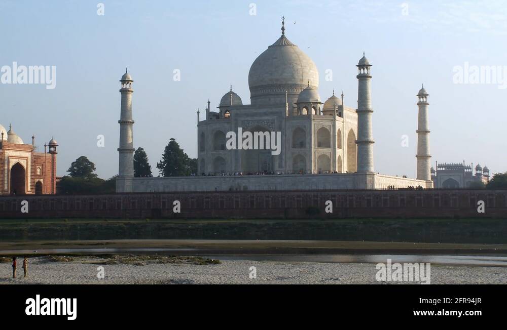 Mughal birds Stock Videos & Footage - HD and 4K Video Clips - Alamy