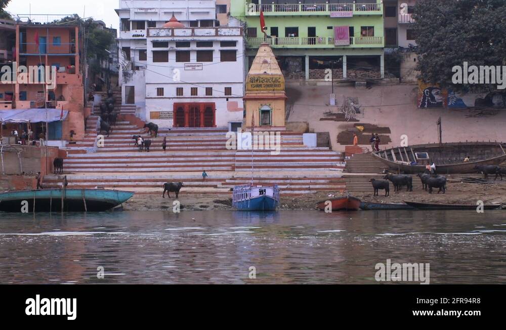 Varanasi tourism Stock Videos & Footage - HD and 4K Video Clips - Alamy