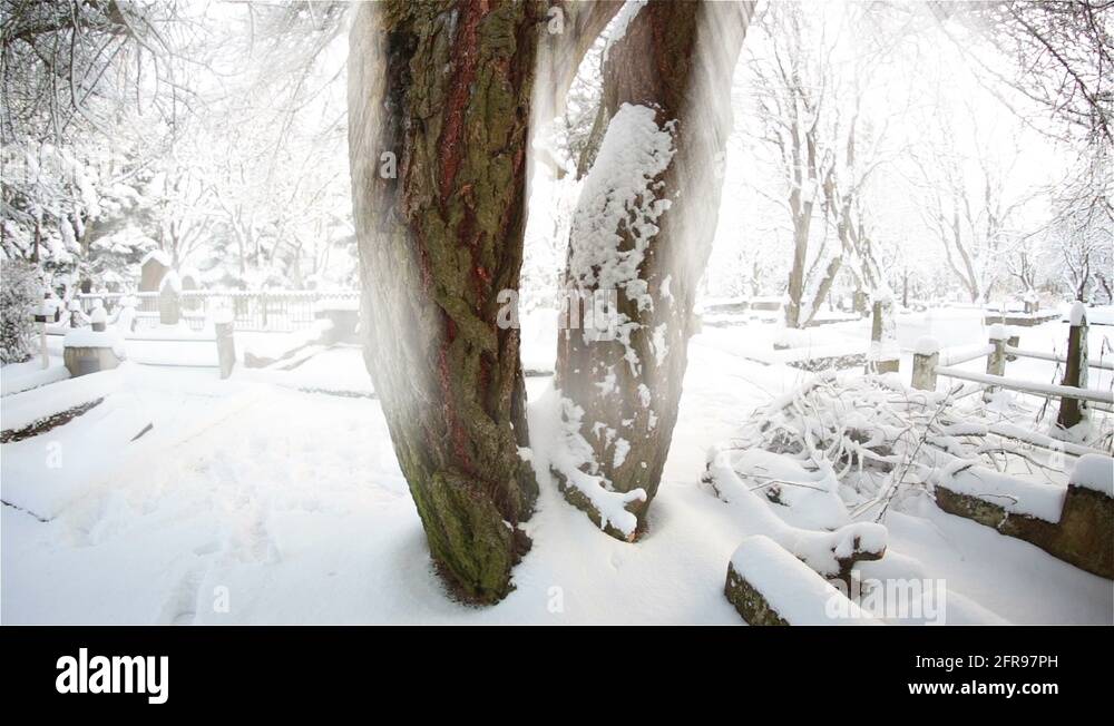 God of snow Stock Videos & Footage - HD and 4K Video Clips - Alamy