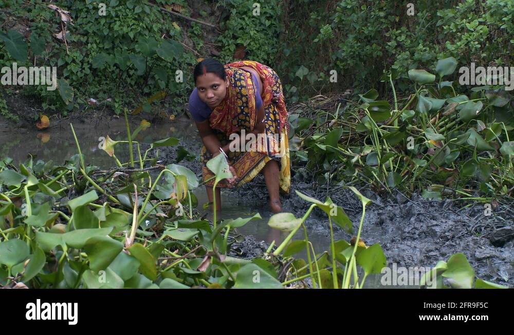 Indian irrigation Stock Videos & Footage - HD and 4K Video Clips - Alamy