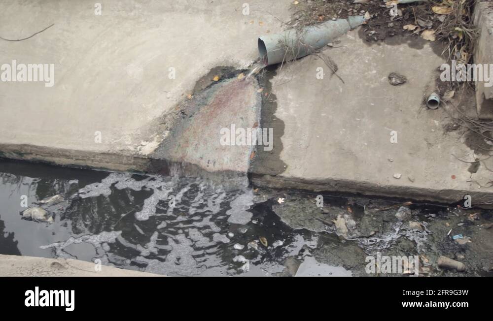 Disgusting water Stock Videos & Footage - HD and 4K Video Clips - Alamy