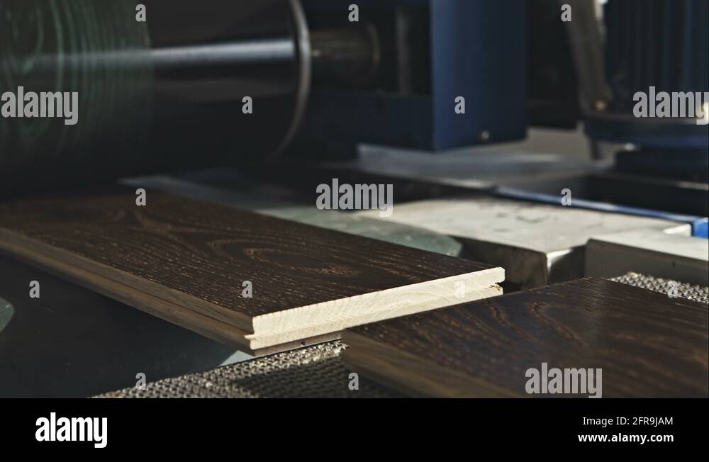 Wax scale Stock Videos & Footage - HD and 4K Video Clips - Alamy