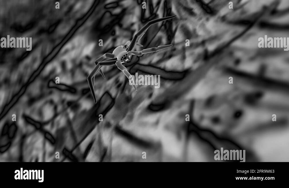 dust mite micro electron microscope Stock Video Footage - Alamy