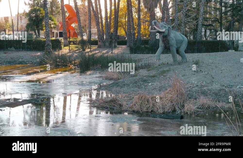 La Brea Tarpits Stock Videos Footage Hd And 4k Video Clips Alamy