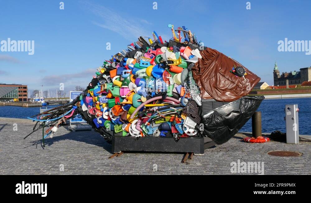 Fish scrap Stock Videos & Footage - HD and 4K Video Clips - Alamy