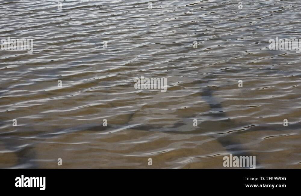 Scenic pattern patterns Stock Videos & Footage - HD and 4K Video Clips ...