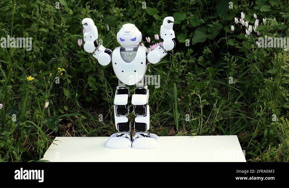 Humanoid robot gesture Stock Videos & Footage - HD and 4K Video Clips ...