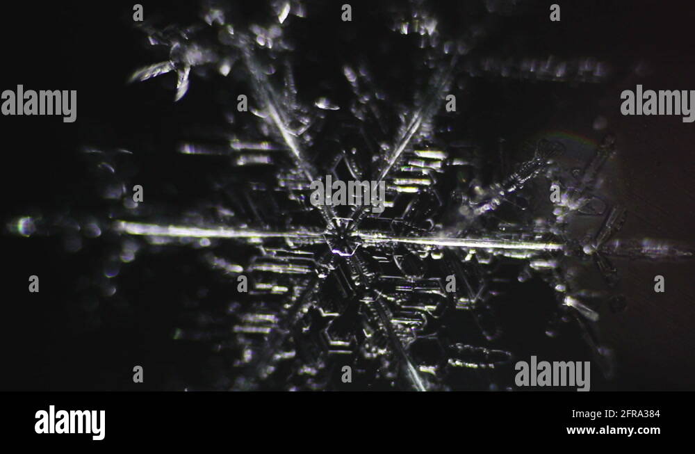 Snowflake transparent background Stock Videos & Footage - HD and 4K ...