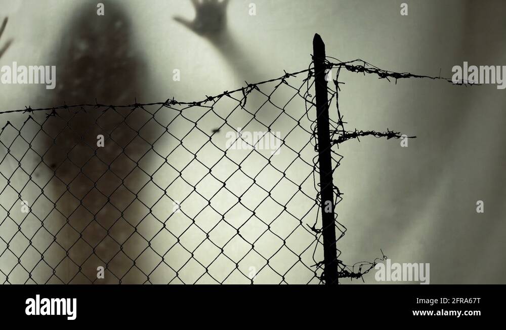 Shadow outline of body Stock Videos & Footage - HD and 4K Video Clips ...