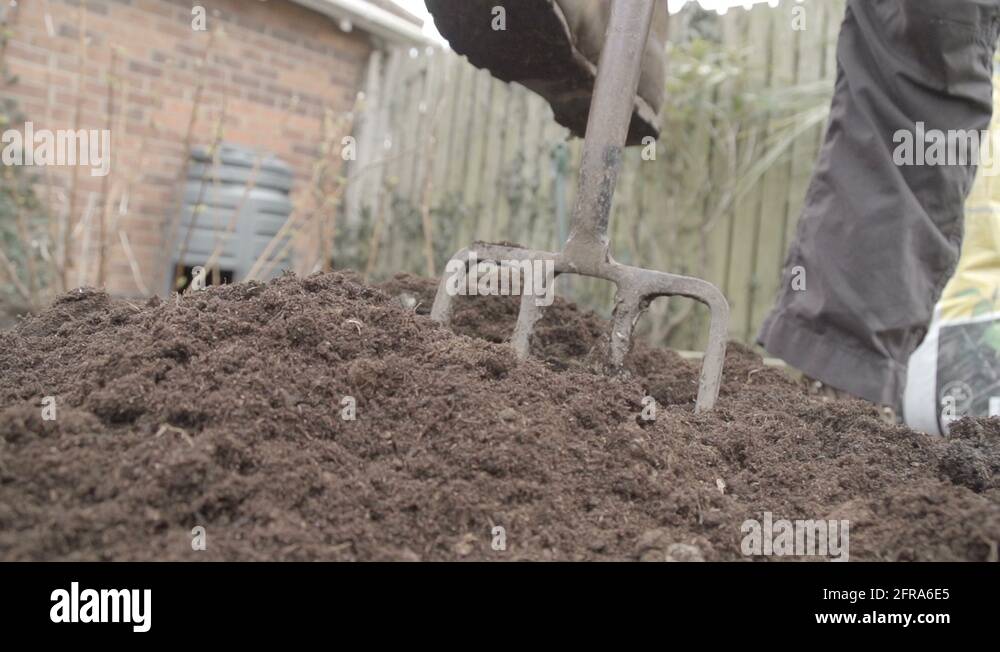 Garden folk Stock Videos & Footage - HD and 4K Video Clips - Alamy