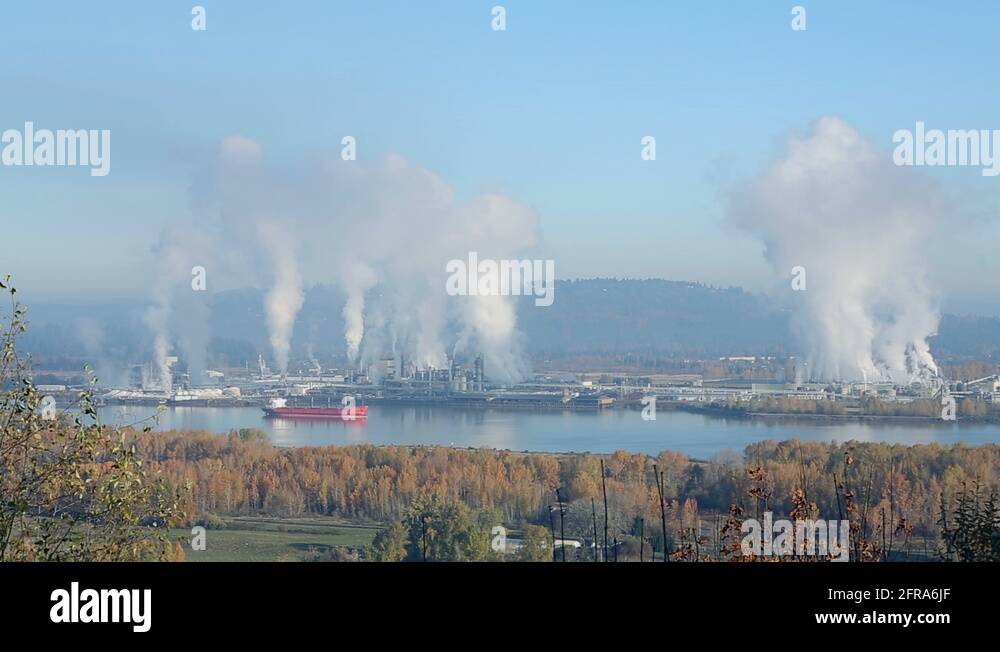 Pulp mill washington Stock Videos & Footage - HD and 4K Video Clips - Alamy