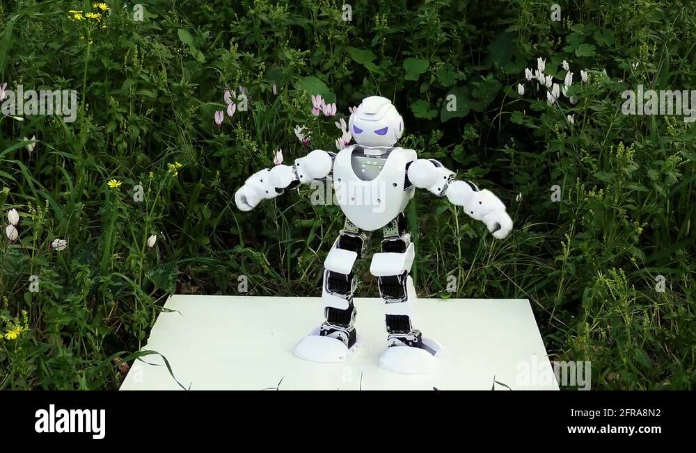 An android humanoid robot stretches his muscles in the park Stock Video ...