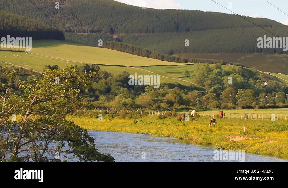 River tweed summer borders Stock Videos & Footage - HD and 4K Video ...