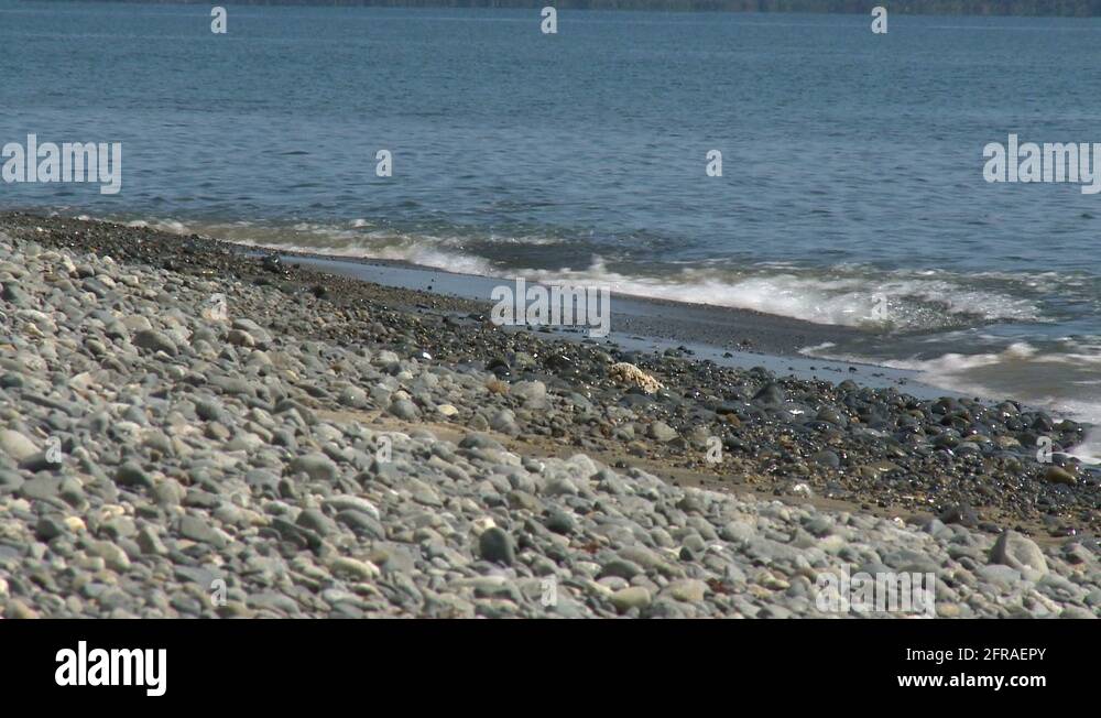 Towards pebble beach Stock Videos & Footage - HD and 4K Video Clips - Alamy