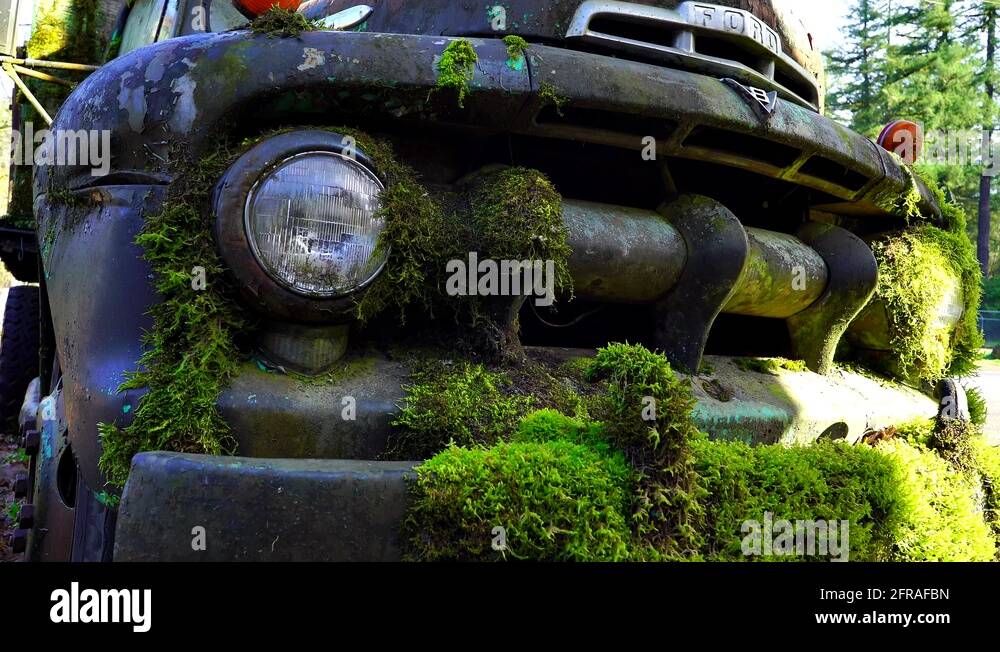 Truck with moss Stock Videos & Footage - HD and 4K Video Clips - Alamy