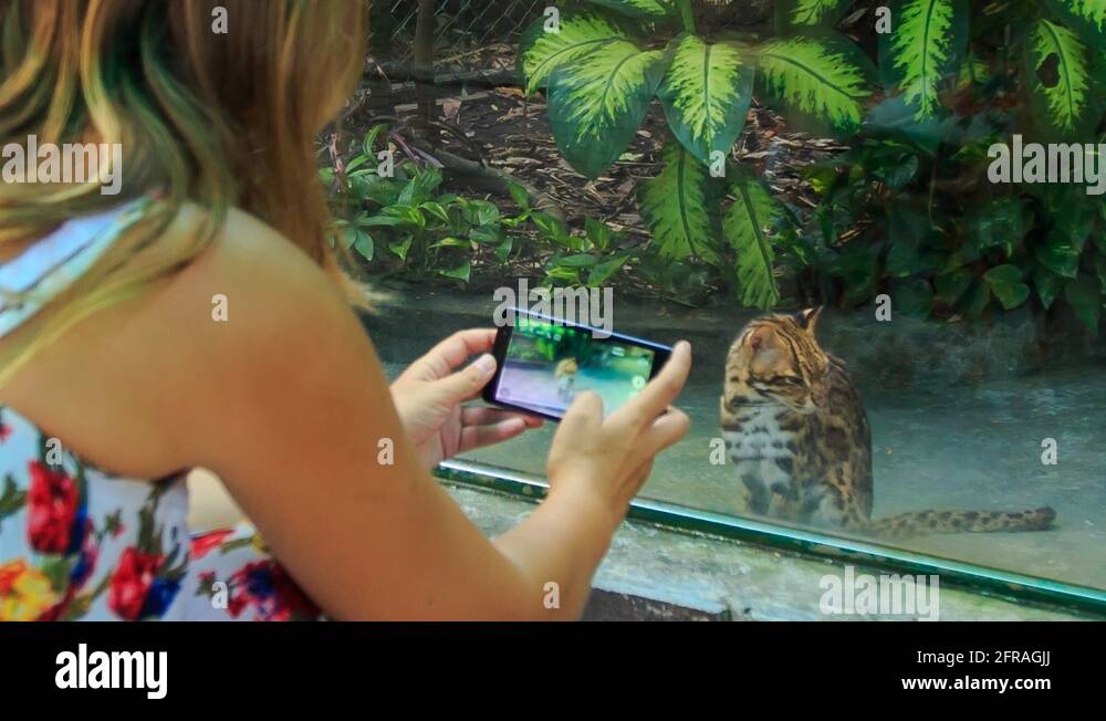 Zoo window Stock Videos & Footage - HD and 4K Video Clips - Alamy