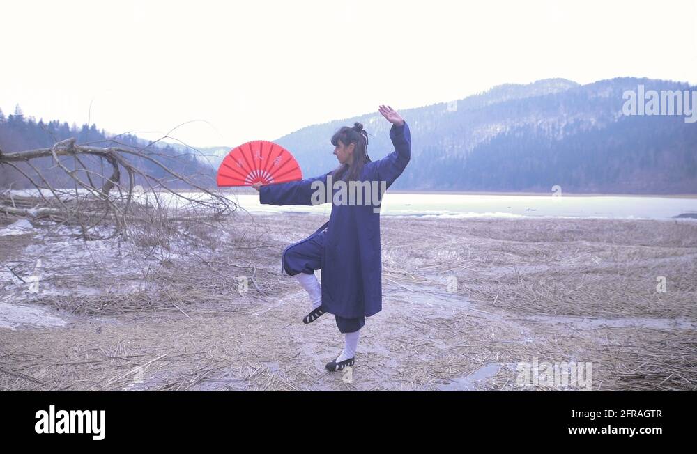 Middle fan Stock Videos & Footage - HD and 4K Video Clips - Alamy