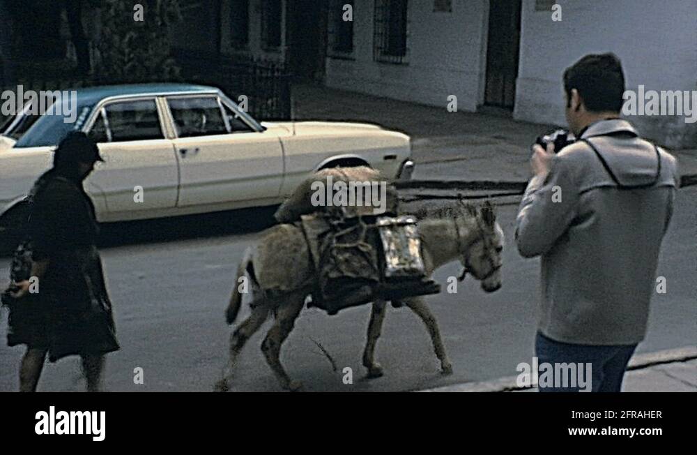 Donkey history Stock Videos & Footage - HD and 4K Video Clips - Alamy