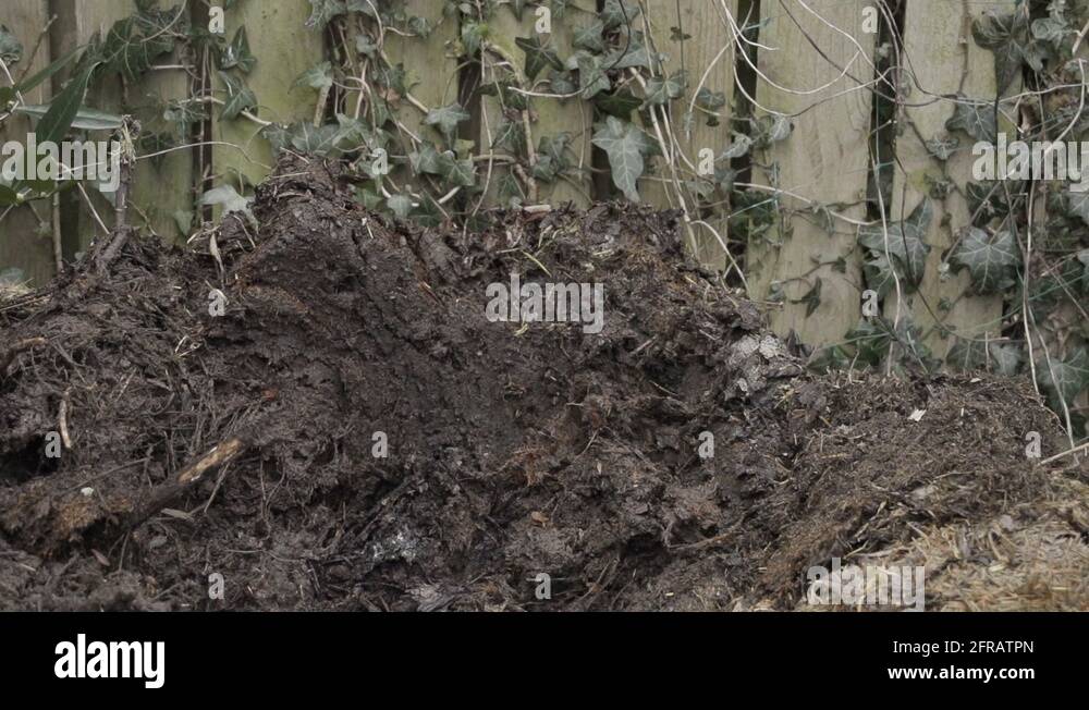 Spreading compost garden Stock Videos & Footage - HD and 4K Video Clips ...