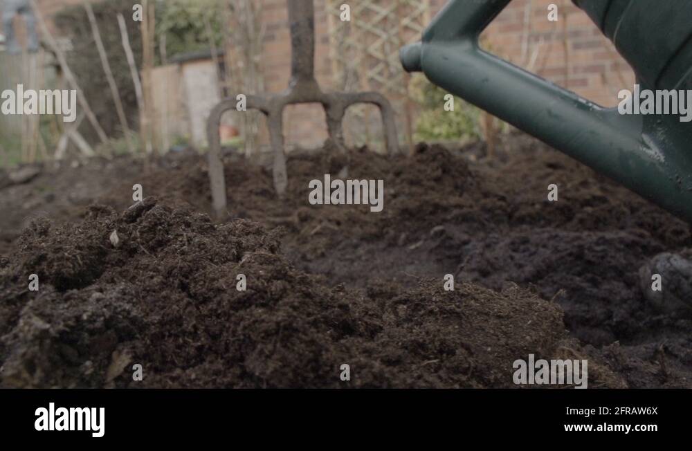 Fork weed Stock Videos & Footage - HD and 4K Video Clips - Alamy