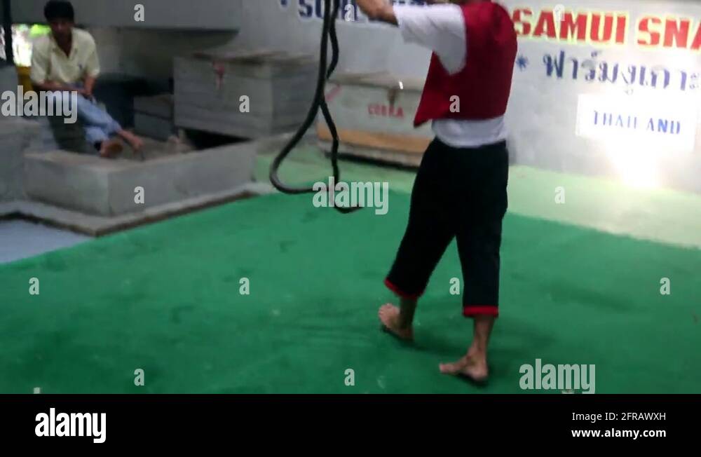 Snake charmer cobra Stock Videos & Footage - HD and 4K Video Clips - Alamy