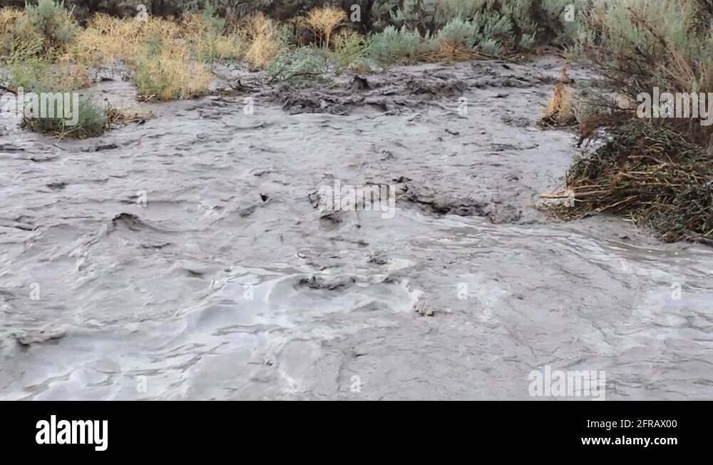 Flash flood debris Stock Videos & Footage - HD and 4K Video Clips - Alamy