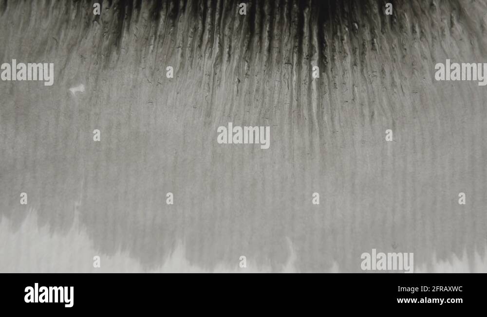 Parchment effect Stock Videos & Footage - HD and 4K Video Clips - Alamy