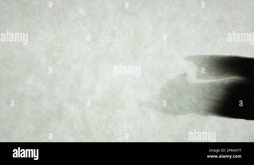 Thin Strip Of Ink Bleeding Into Parchment Paper Stock Video Footage - Alamy