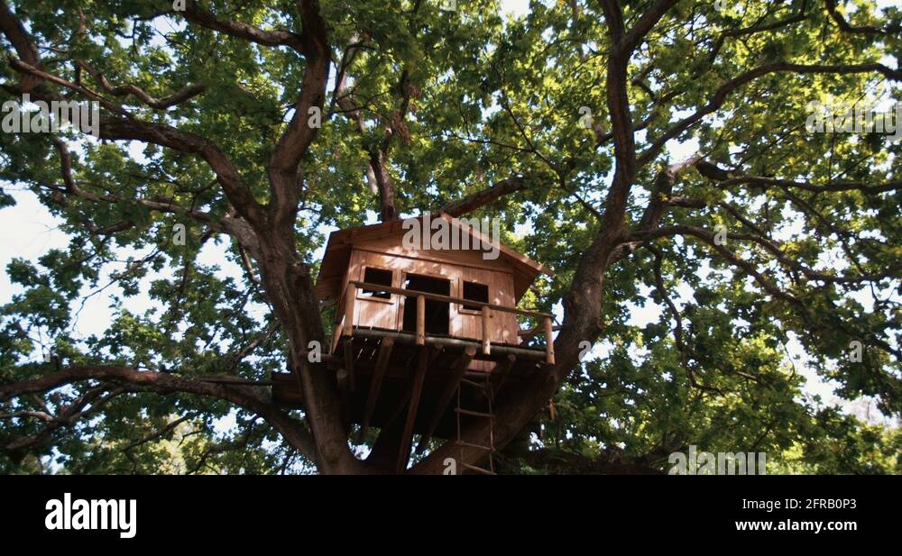 Tree house Stock Videos & Footage - HD and 4K Video Clips - Alamy