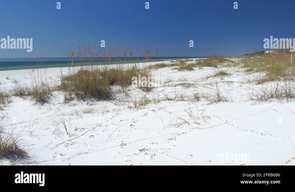 Florida desert Stock Videos & Footage - HD and 4K Video Clips - Alamy