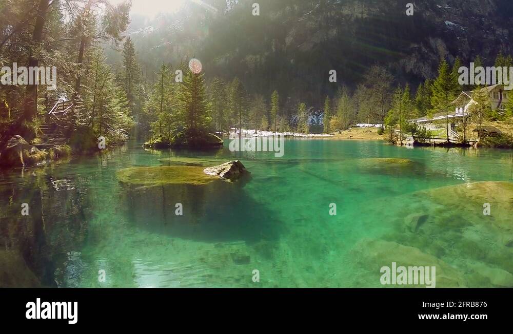 Flora and fauna, landscape Stock Videos & Footage - HD and 4K Video ...