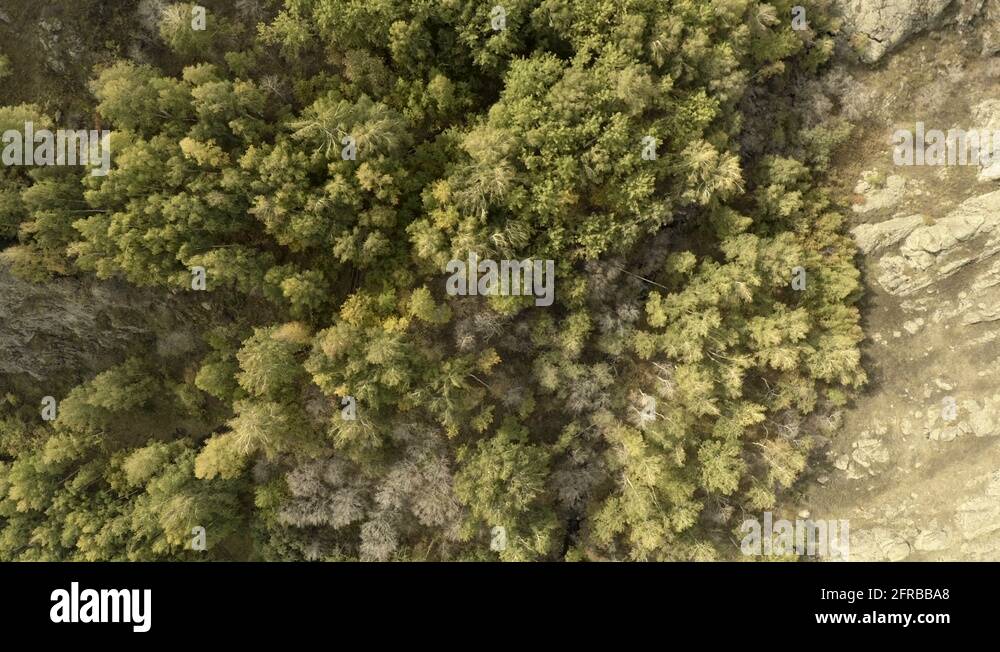 Fall from height Stock Videos & Footage - HD and 4K Video Clips - Alamy